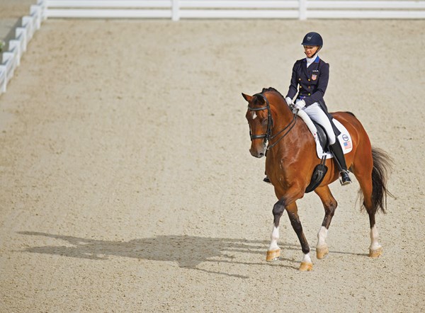 Laura Graves: Tools for a More Successful Connection, Part 1 - Dressage ...